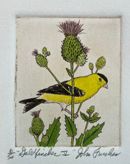 Goldfinches V – The John Furches Gallery