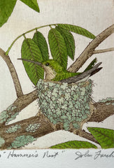 Hummers Nest – The John Furches Gallery